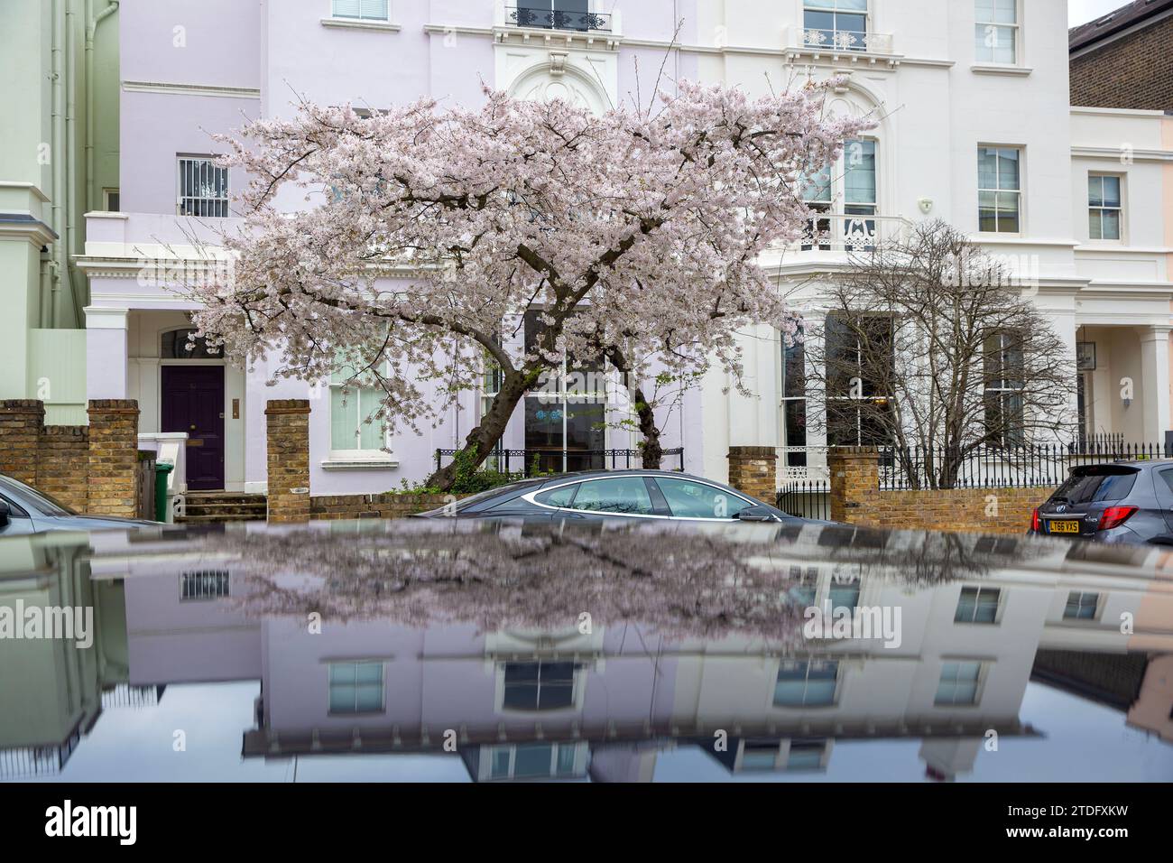 Blooming flowers are seen in London Stock Photo - Alamy