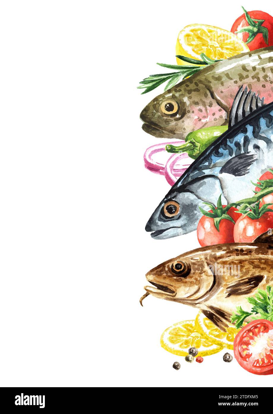 Fresh raw fish, Seafood concept Hand drawn watercolor illustration ...