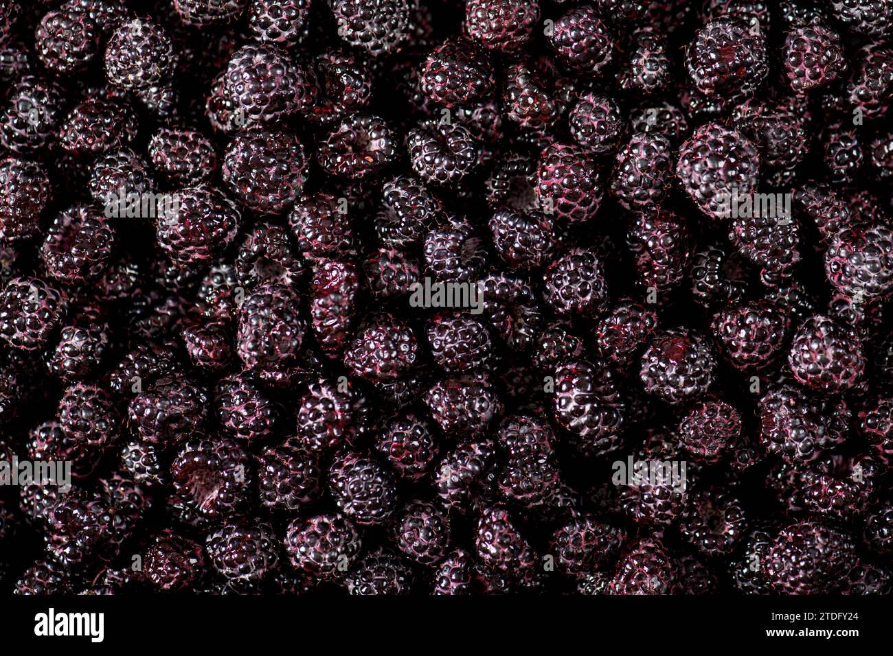 Top view image of bokbunja group Stock Photo - Alamy