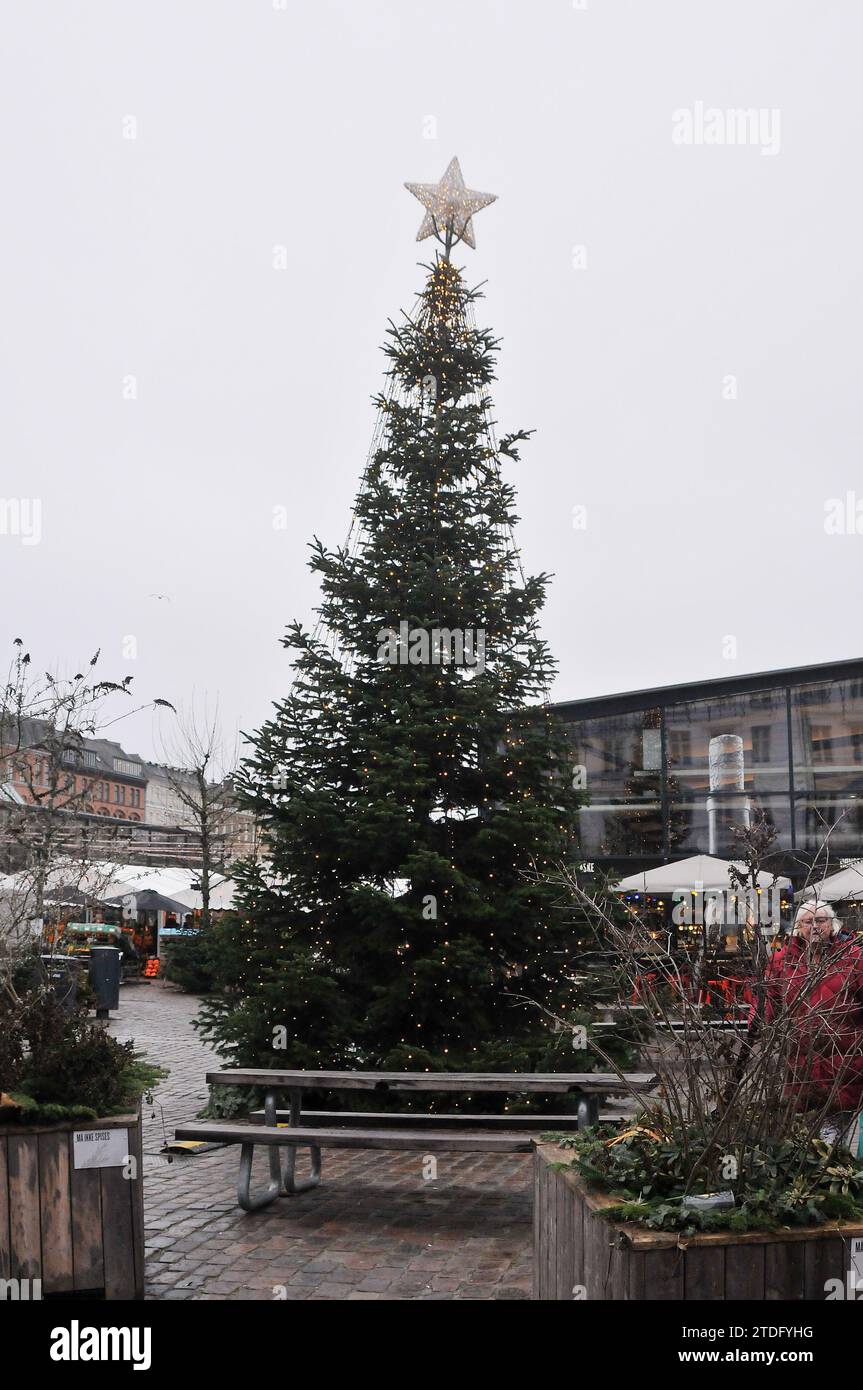 Copenhagen, Denmark /18 December 2023/. Christma tree in danish capital ...