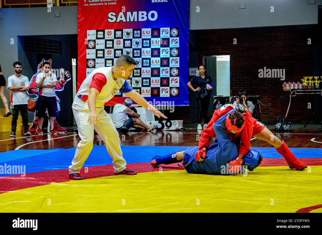 Combat sambo hi-res stock photography and images - Alamy