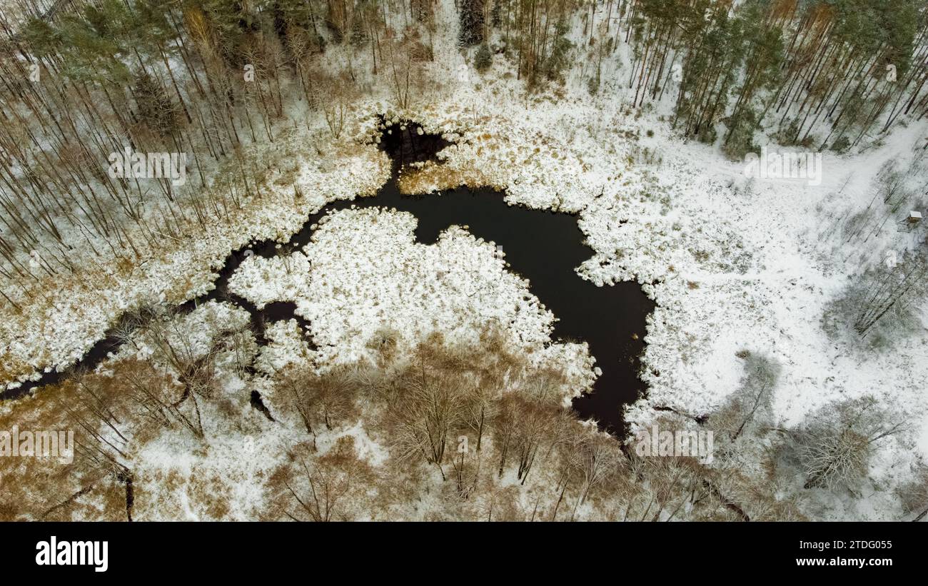 Aerial view of the river in Lithuanian forests, wild winter nature ...