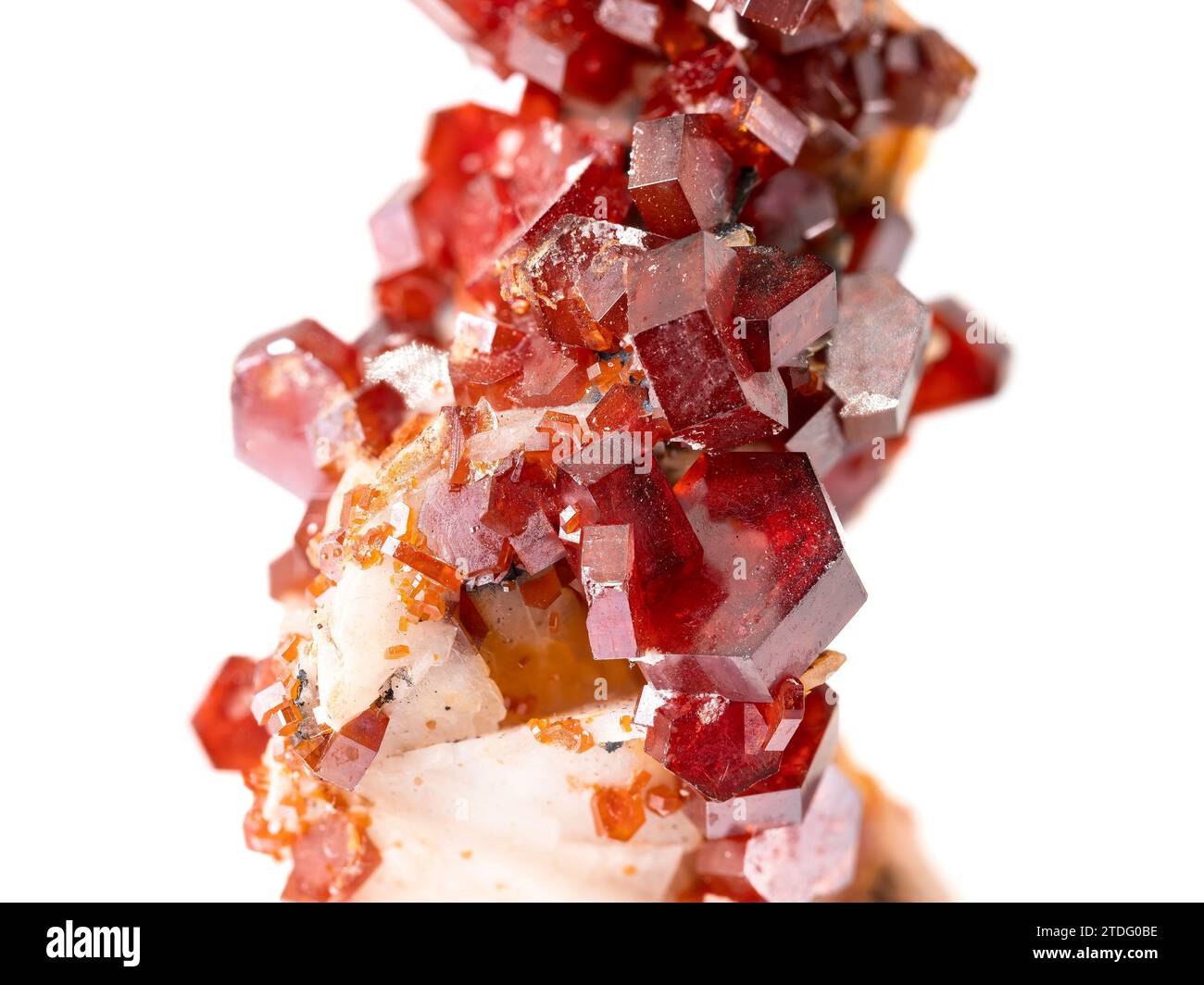 macro close up of natural vanadinite crystals on white background Stock ...