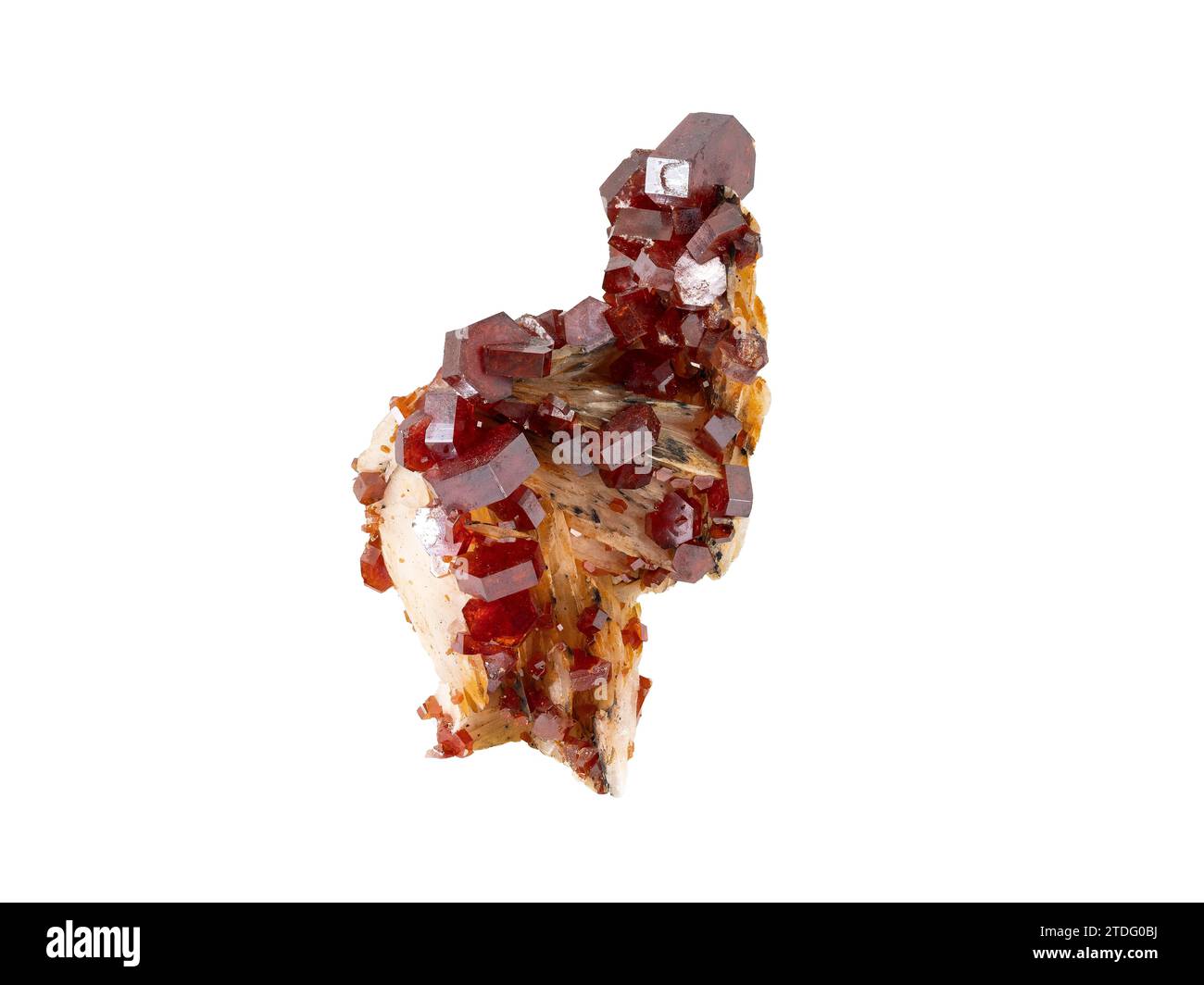 macro close up of natural vanadinite crystals on white background Stock ...