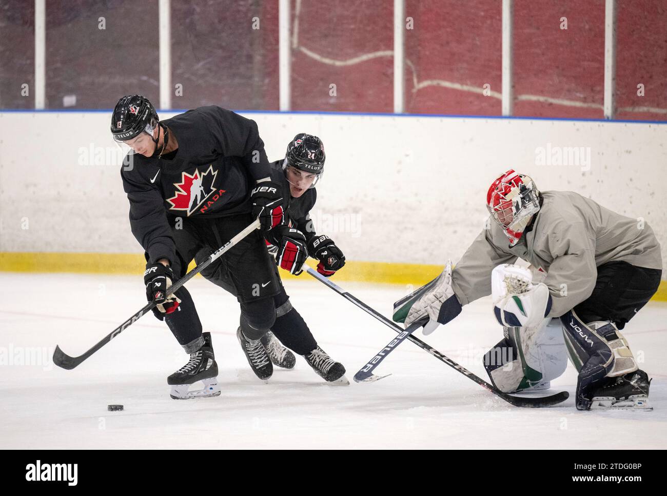 Maveric Lamoureux (13), Denton Mateychuk (24) and Scott Ratzlaff (1 ...