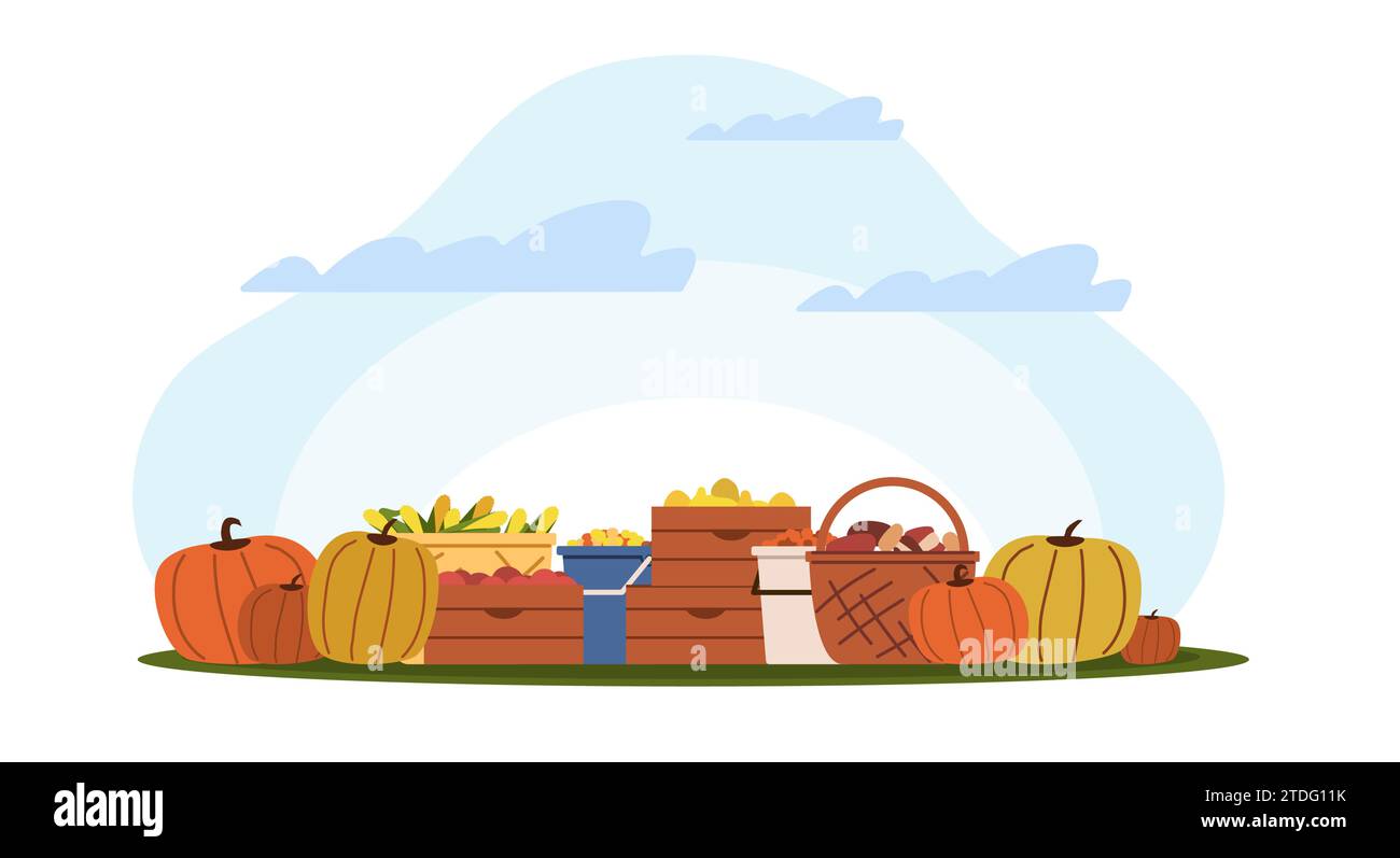 Fall harvest, baskets and boxes of vegetables and harvested fruit. Farm ...