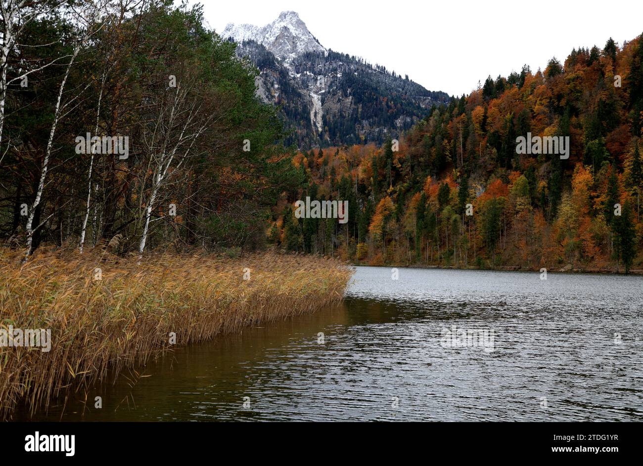 Image of autumn in Bavaria Stock Photo - Alamy