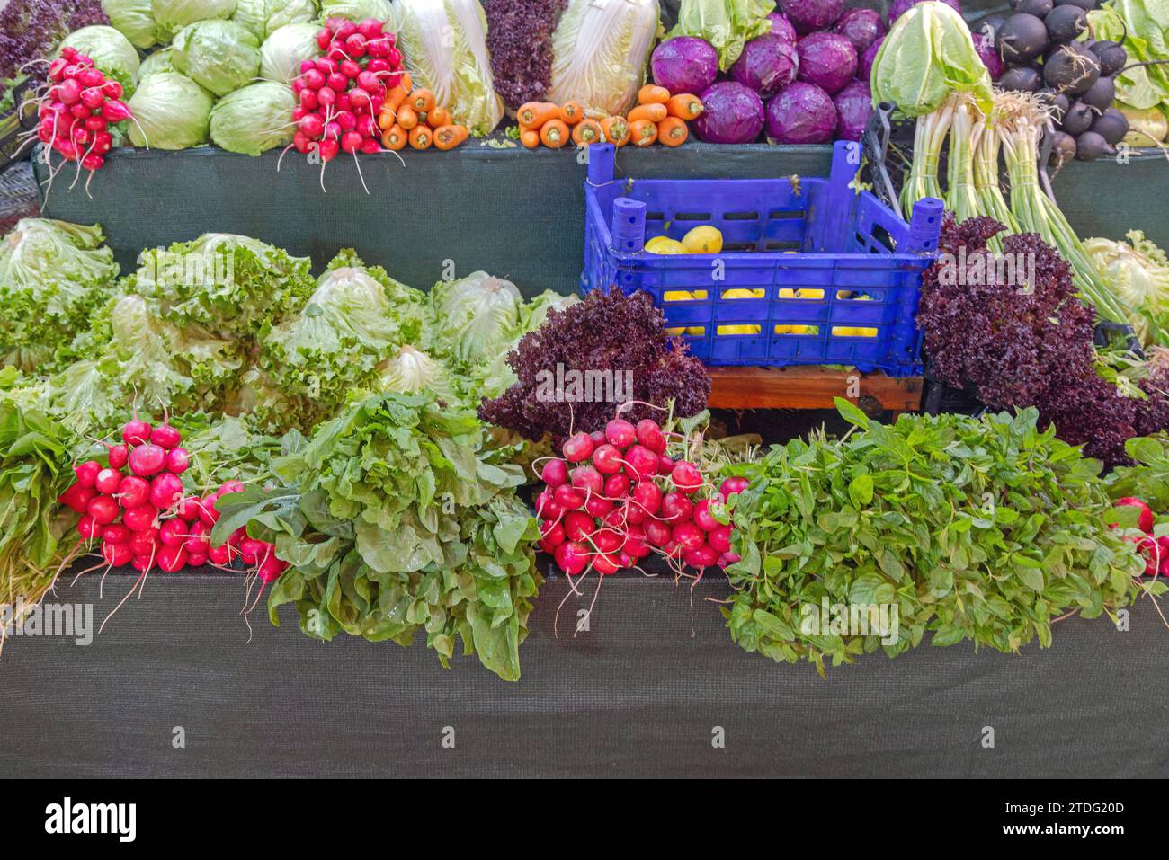 Fresh Vegetables at Farmers Market Stall Fall Istanbul Turkey Stock ...