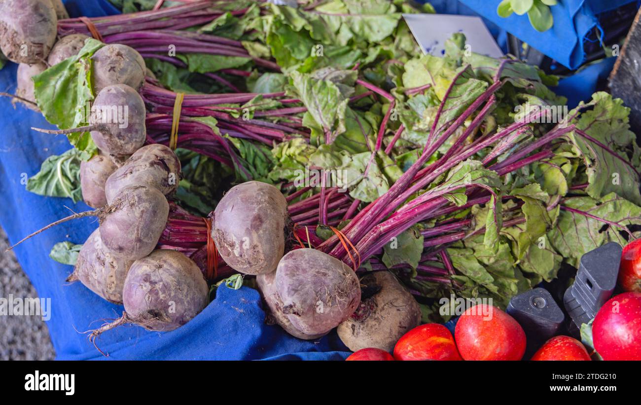 Beet turkey hi-res stock photography and images - Alamy