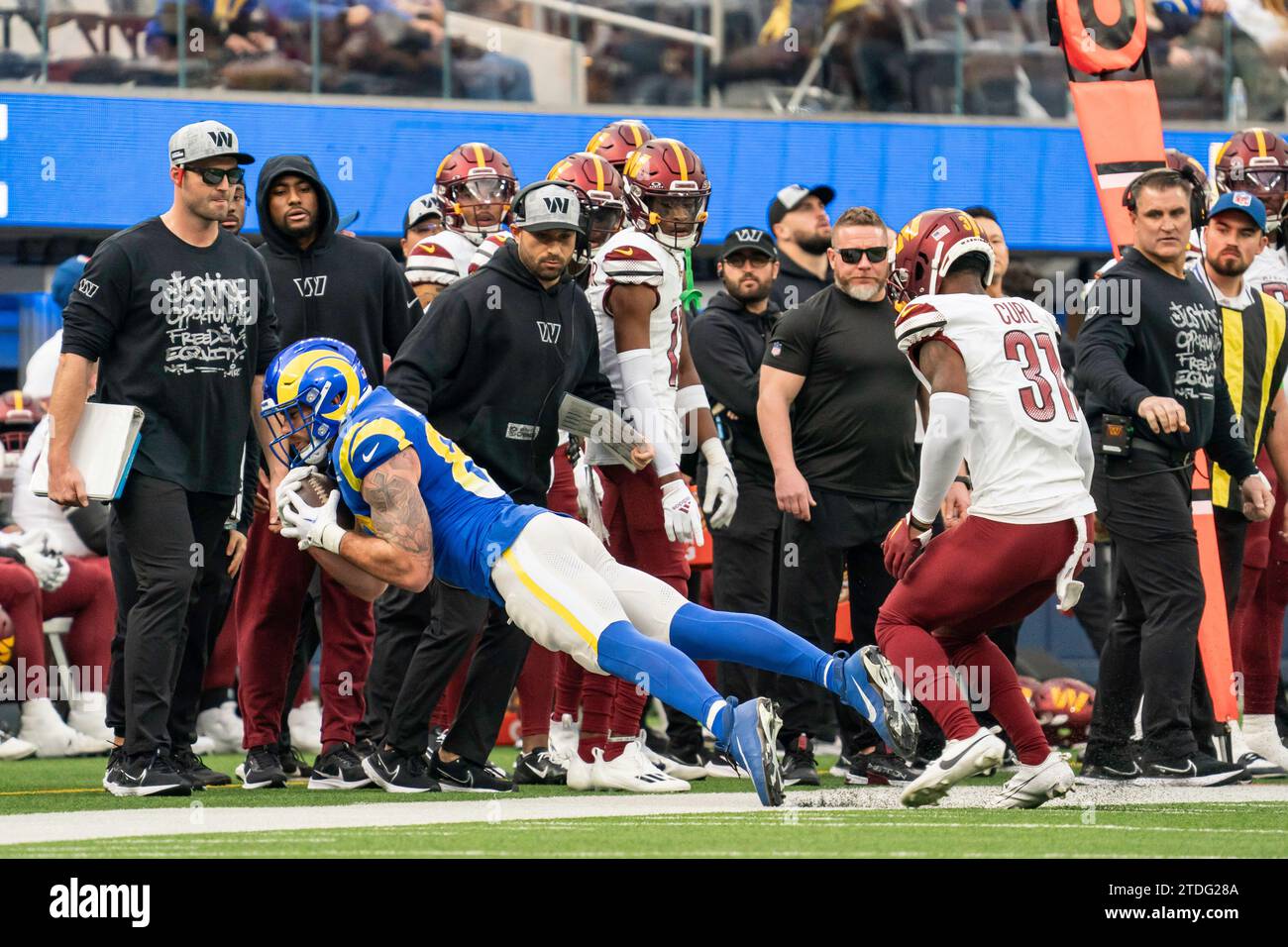 Kamren curl rams hi-res stock photography and images - Alamy