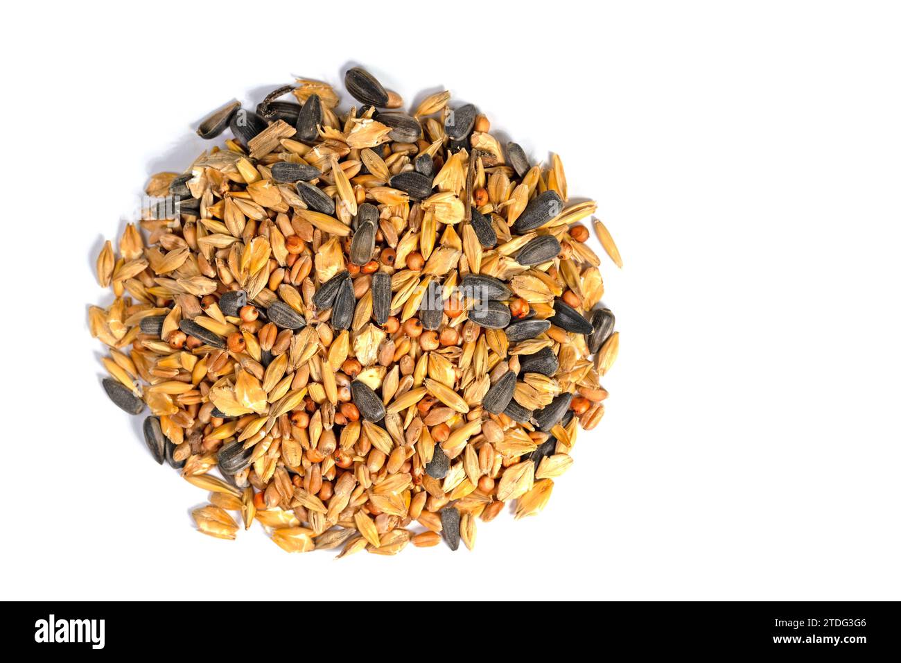 Animal scatter food isolated against white background Stock Photo - Alamy