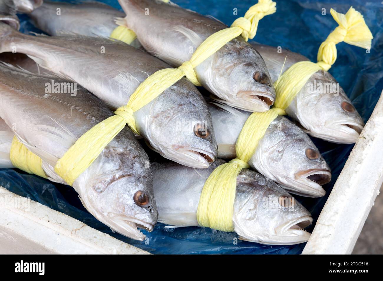 Gulbi sold at a traditional market in Korea Stock Photo - Alamy
