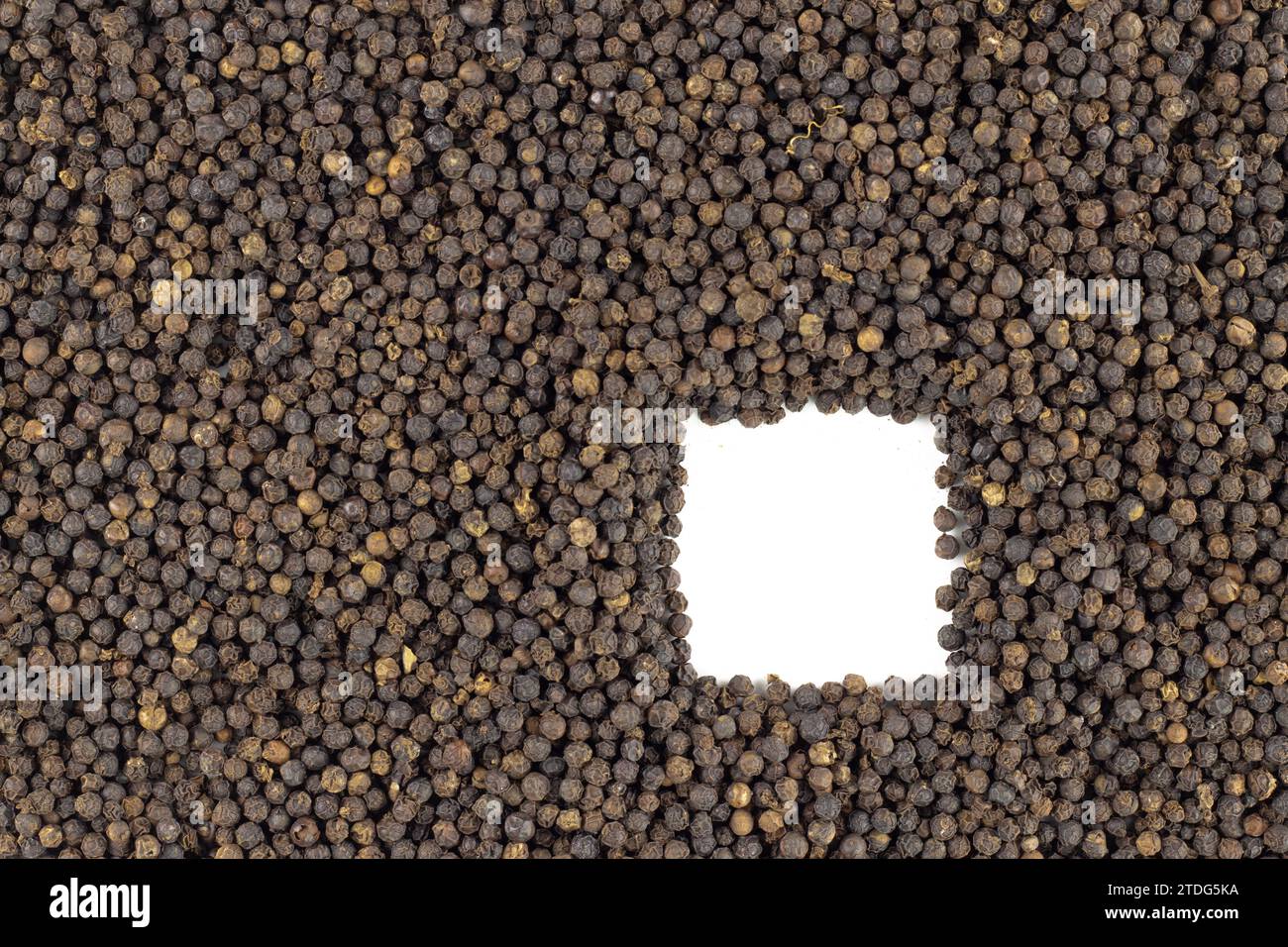 dry black pepper background divides free space into two parts. Flat top ...