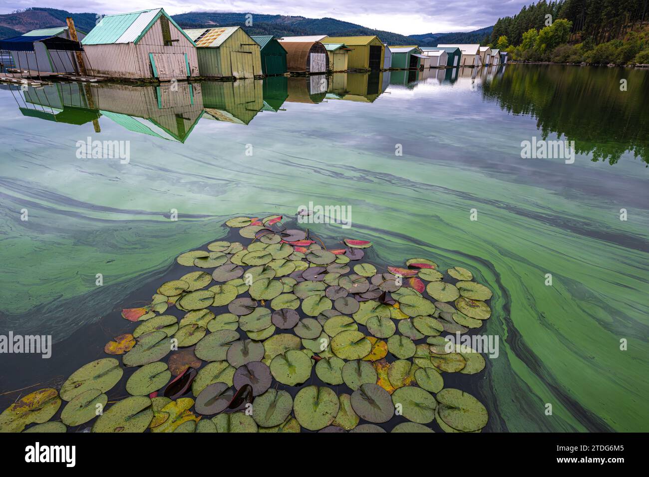 Boat Houses on the Chatcolet Lake, Idaho Stock Photo - Alamy