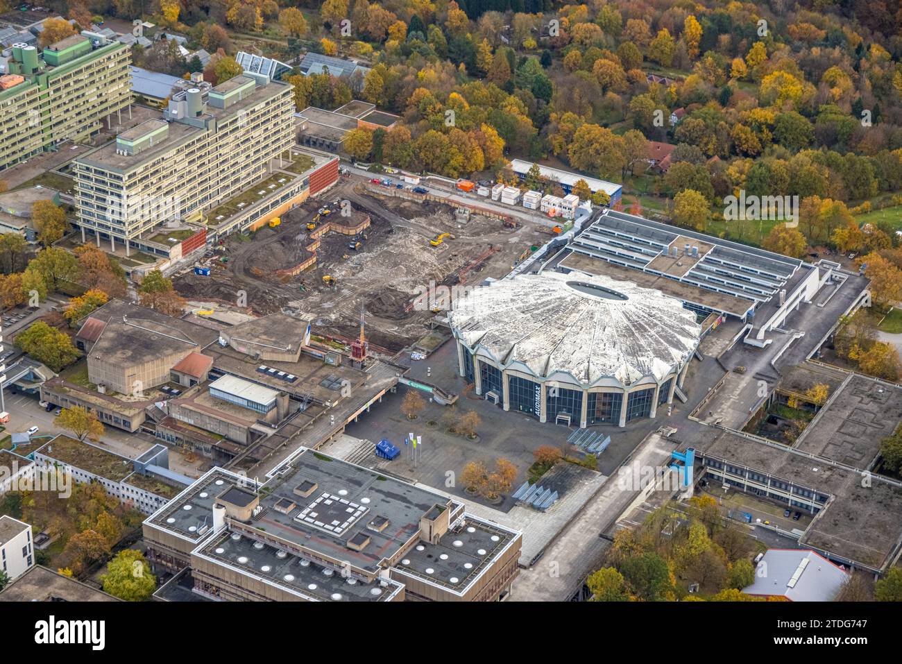 Rub shell hi-res stock photography and images - Alamy