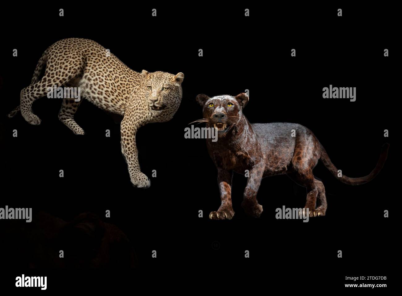 Paris, France - 06 10 2023: The Great Evolution Gallery of Paris ...