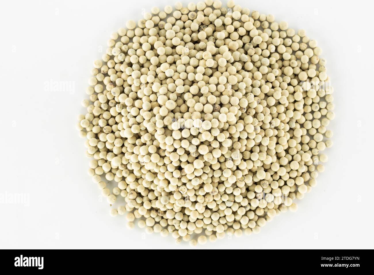 white pepper seeds piled in circle shape isolated on white background ...