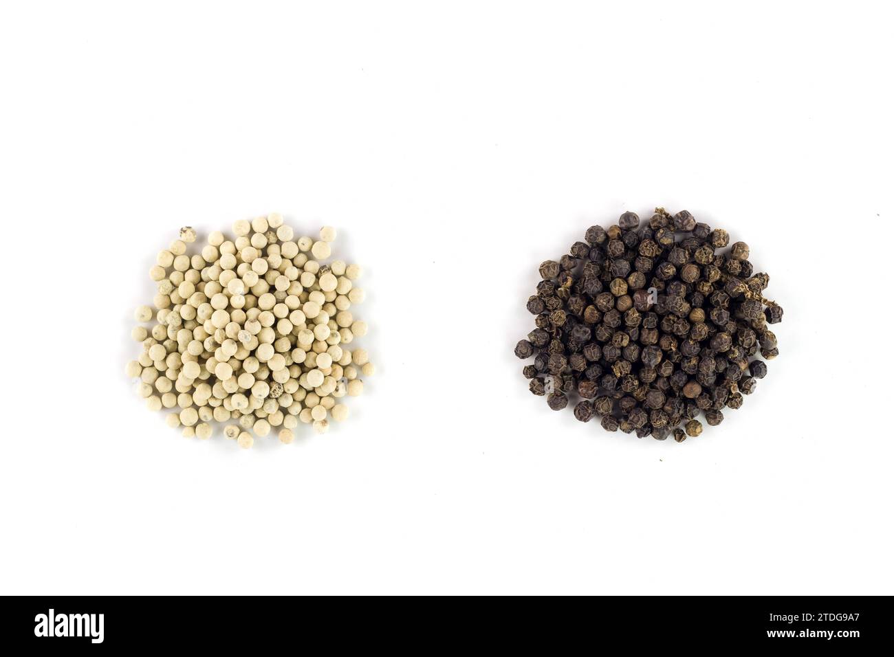 Black and white peppers piled up in circle shape isolated on white ...