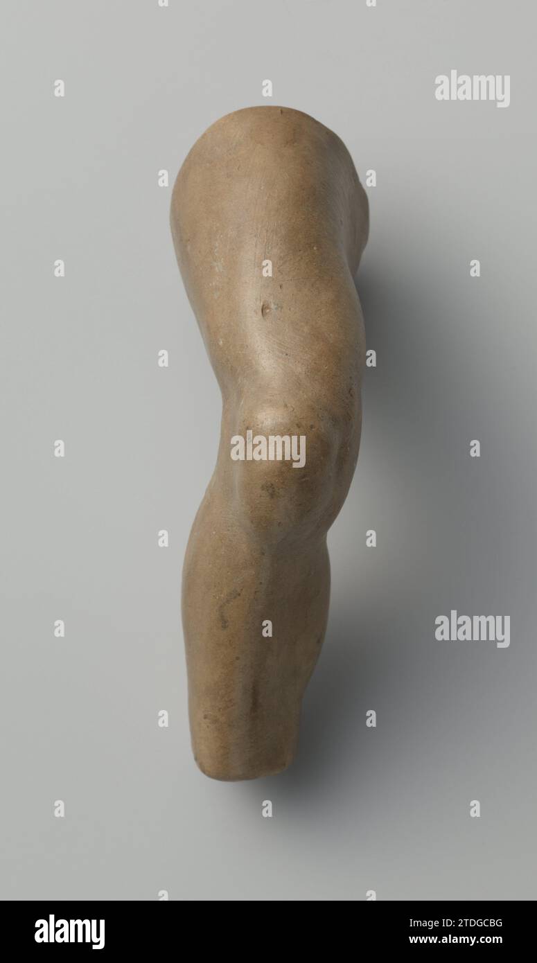 Study Models of Parts of the Body, Johan Gregor van der Schardt ...