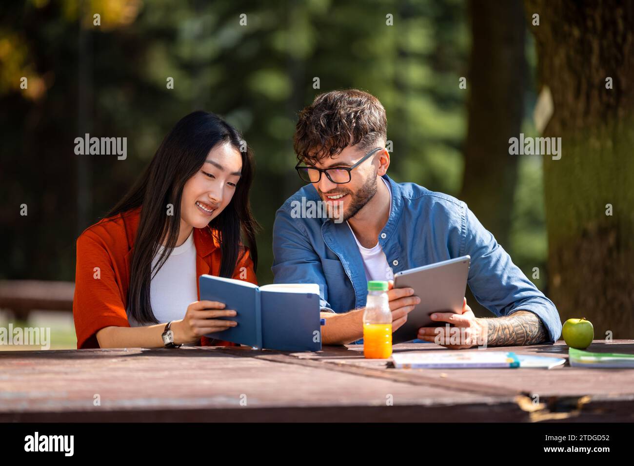 Young people studying in the park and looking involved Stock Photo - Alamy