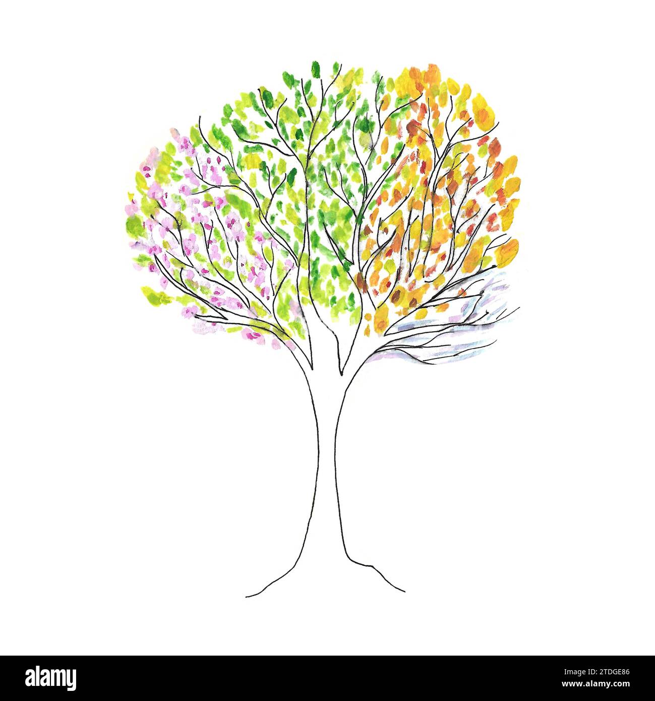 Trees Changing Seasons How To Draw A Four Seasons Tree Using Washable