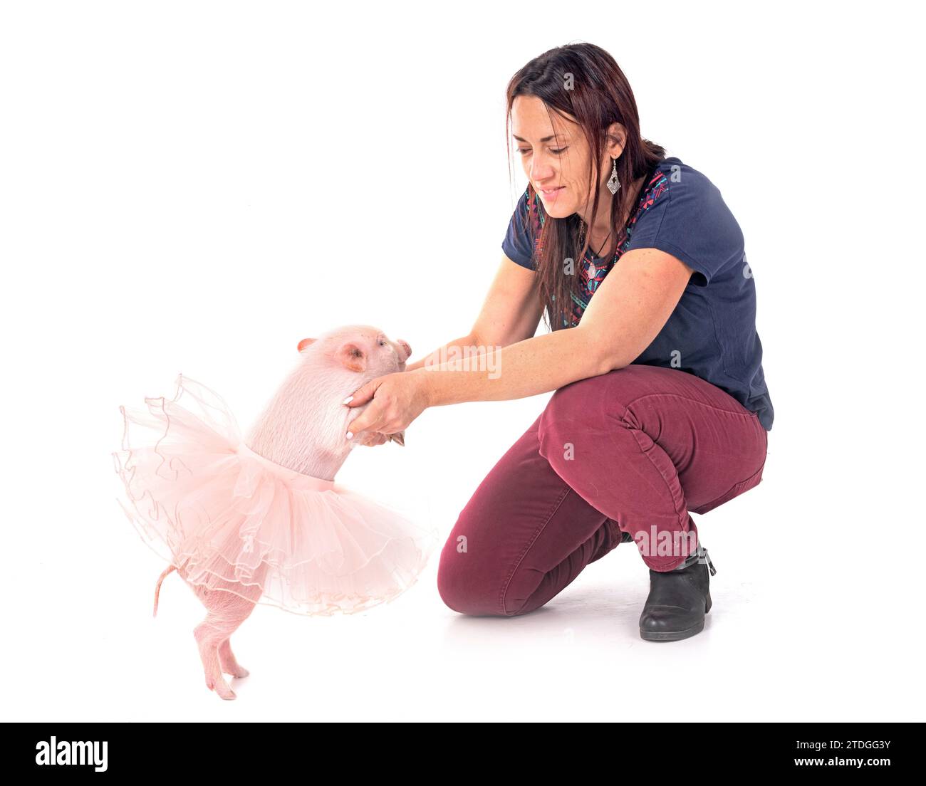 pink miniature pig and woman in front of white background Stock Photo ...