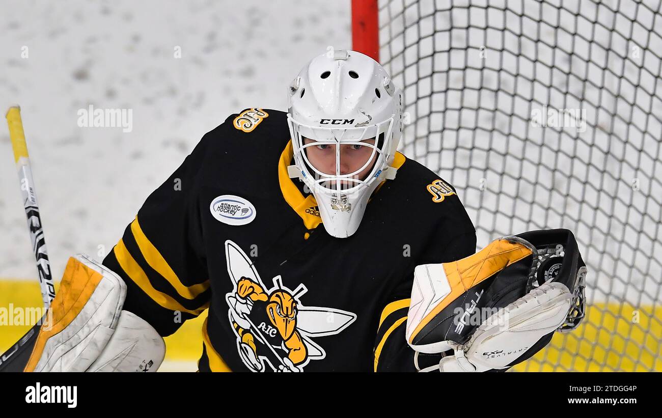 American International goalie Nils Wallstrom (34) warms up before an ...
