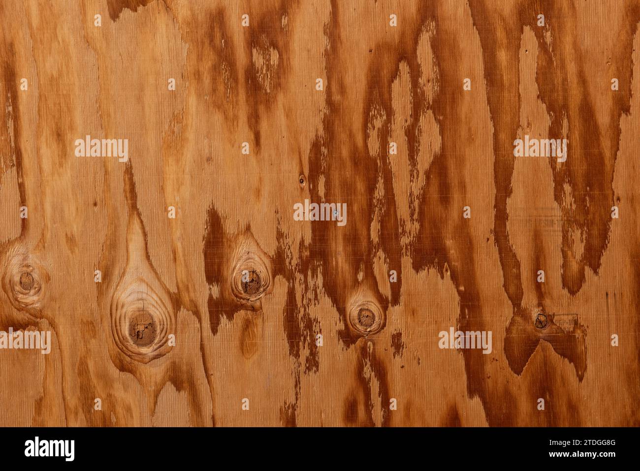 Abstract detail of a section of raw, unfinished, grainy and knottly ...