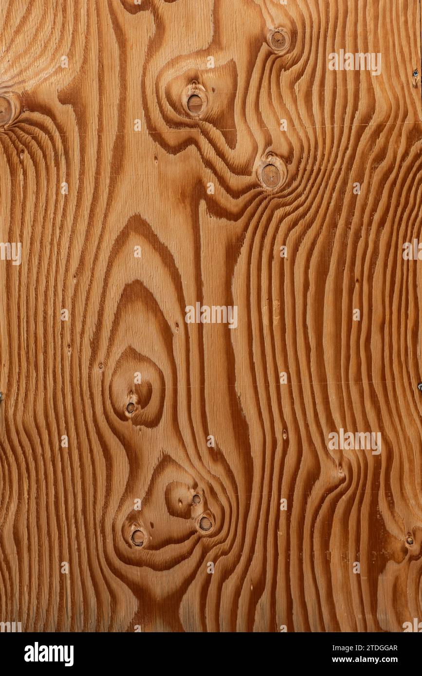 Abstract detail of a section of raw, unfinished, grainy and knottly ...