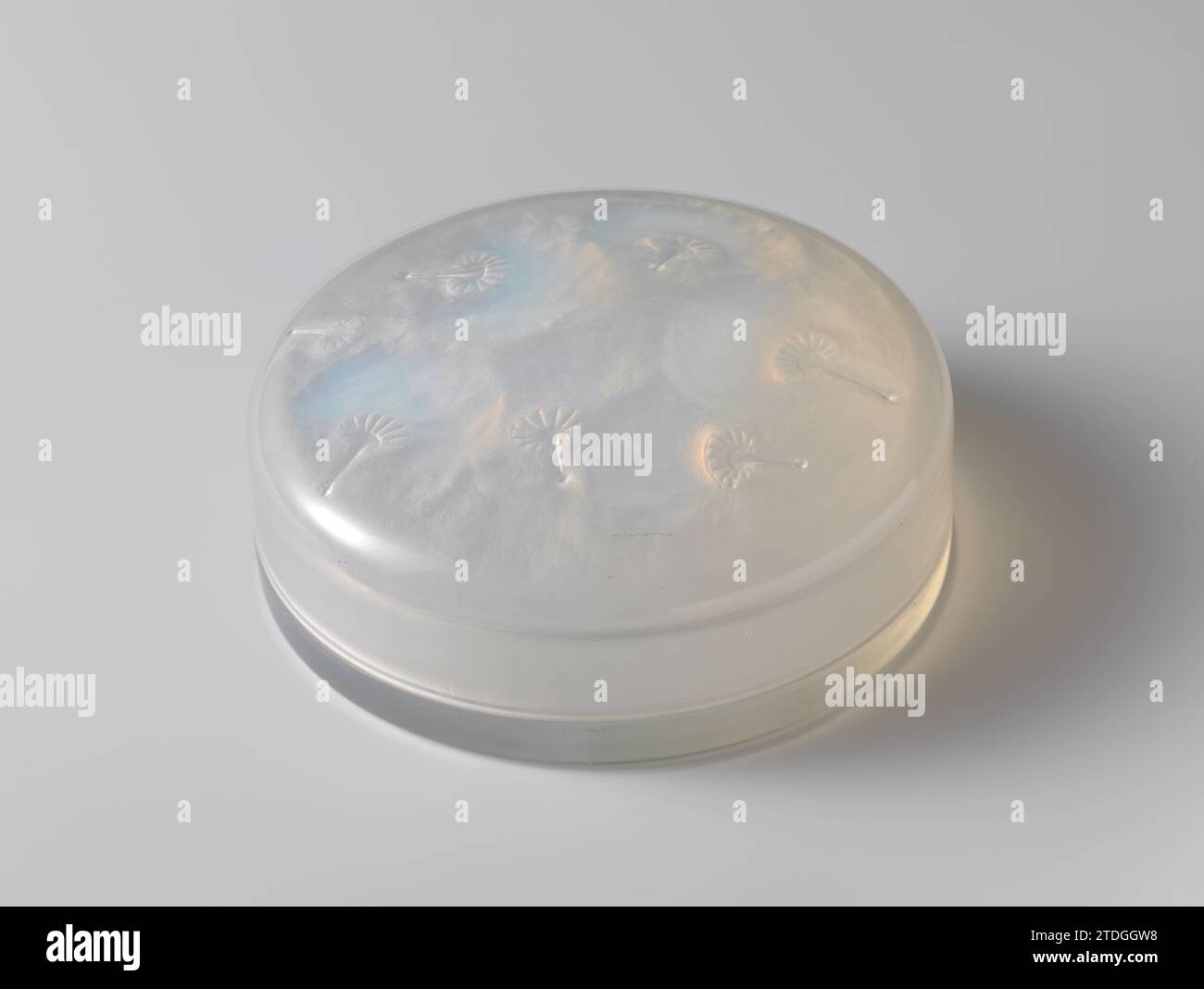 Cylindrical object smooth matte hi-res stock photography and images - Alamy