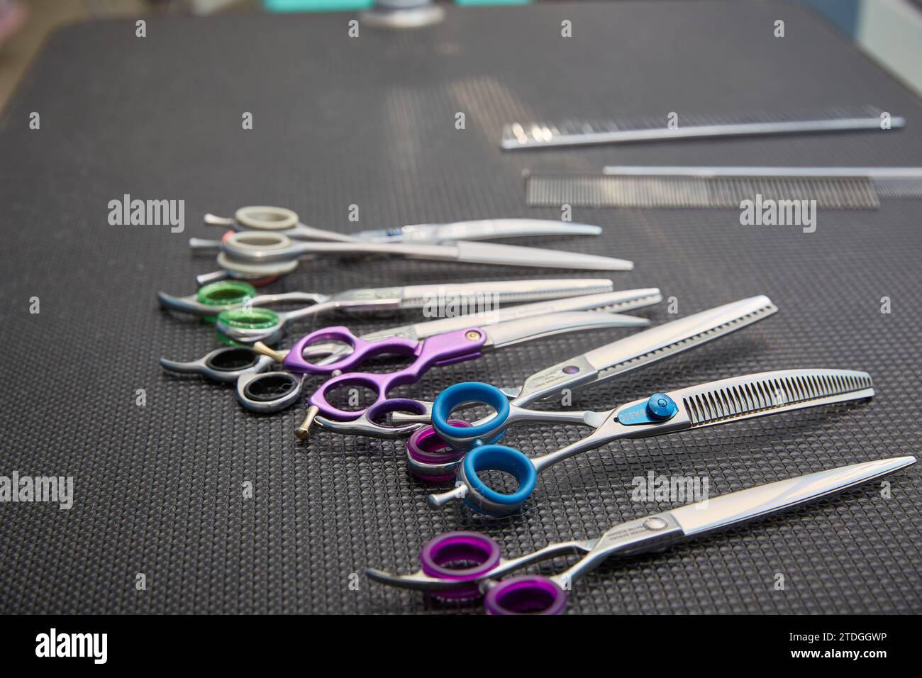 dog grooming tools and accessories set on dark background. pet care and ...