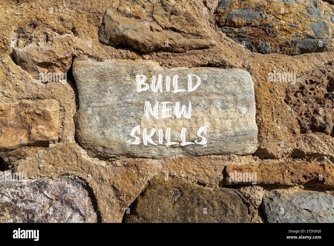 Build new skills symbol. Concept word Build new skills on beautiful big ...