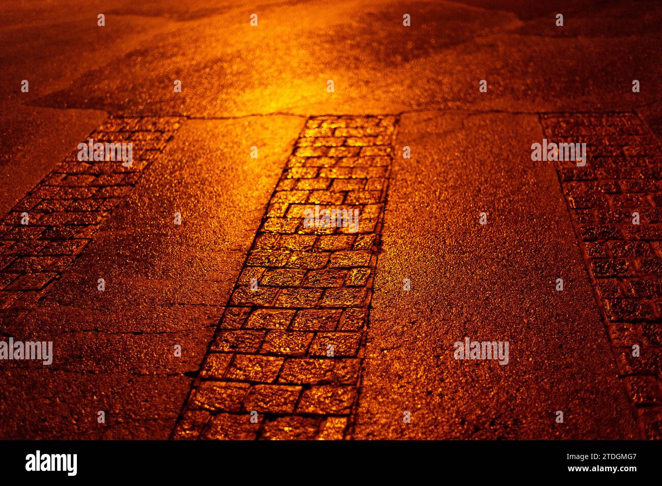 Shiny, colorful, cobblestone streets shimmer with artificial light ...