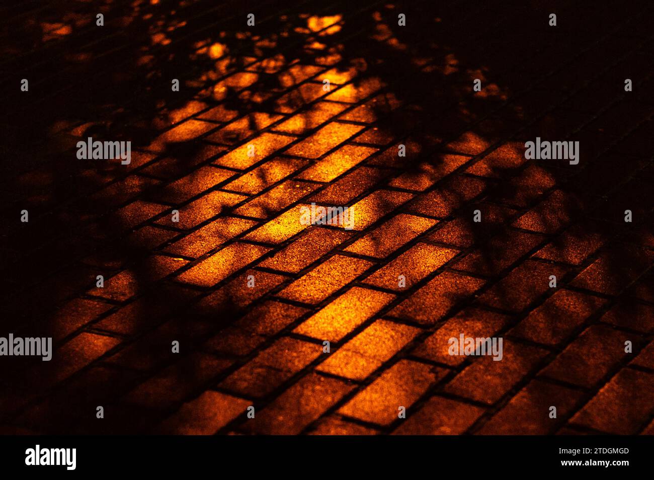 Shiny, colorful, cobblestone streets shimmer with artificial light ...