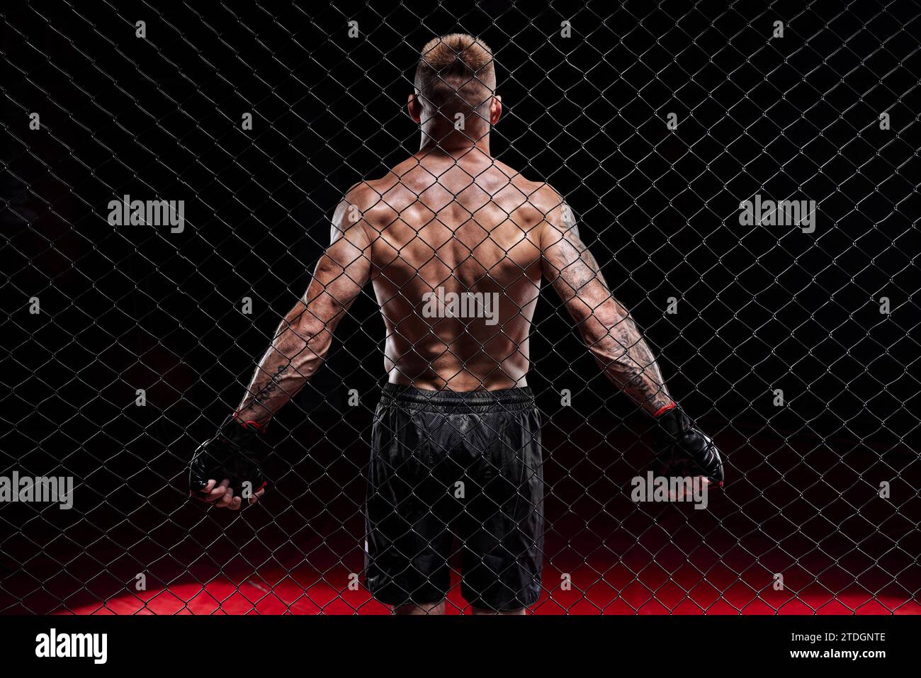 Dramatic depiction of a fighter in an octagon cage. Back view. The ...