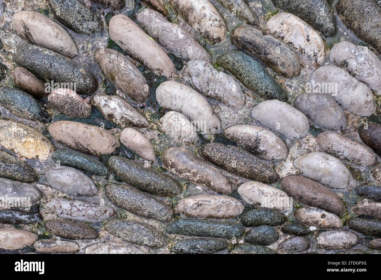 Street paving in the historic centre of Mostar, filled with rainwater ...