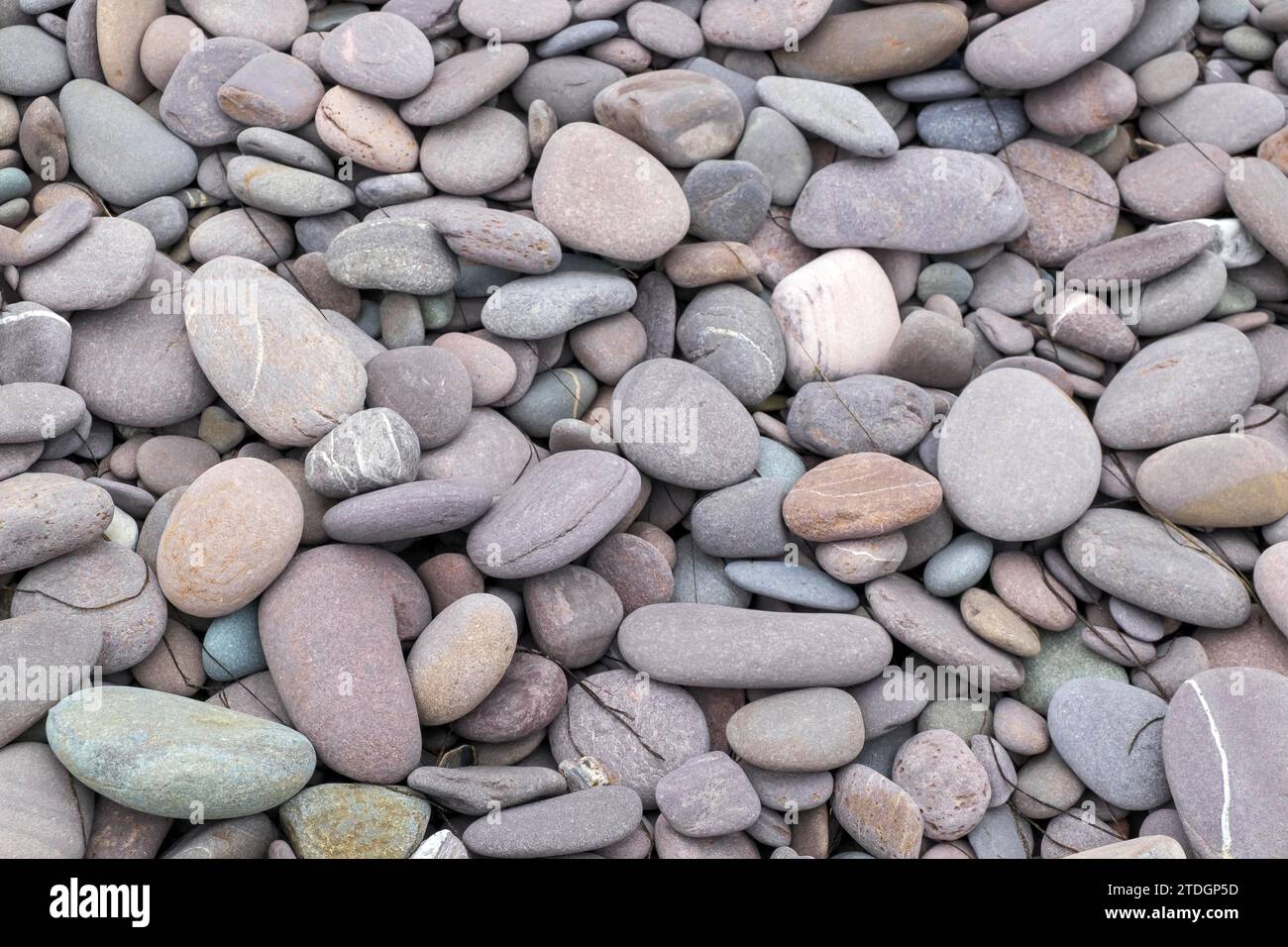 Various flat stones rounded by the sea, pebble beach, background image ...