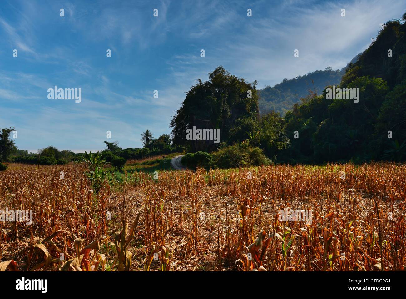 Beautiful places bangkok hi-res stock photography and images - Alamy