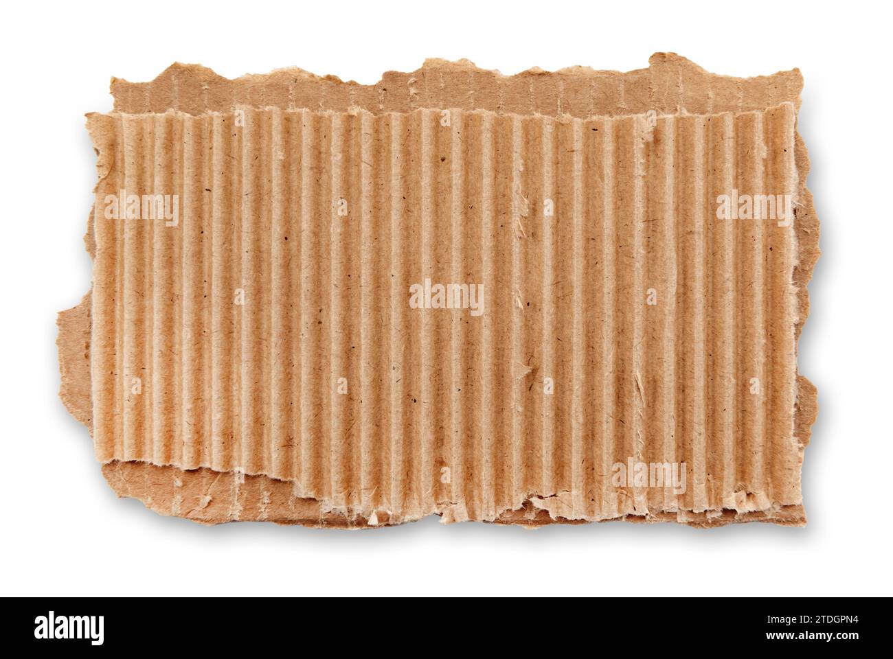 Piece of torn cardboard on a white background. Torn cardboard isolate ...