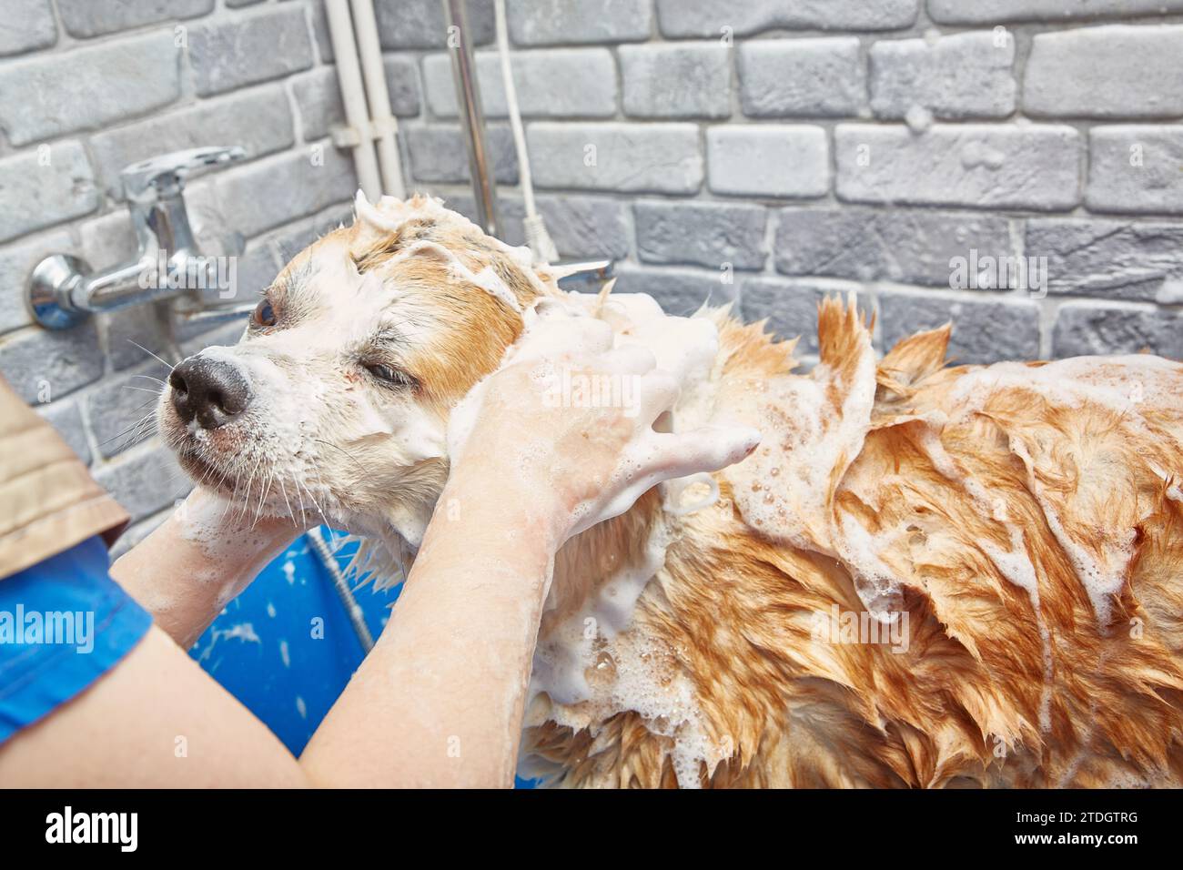 Soap wash washed washing bath hi-res stock photography and images - Alamy