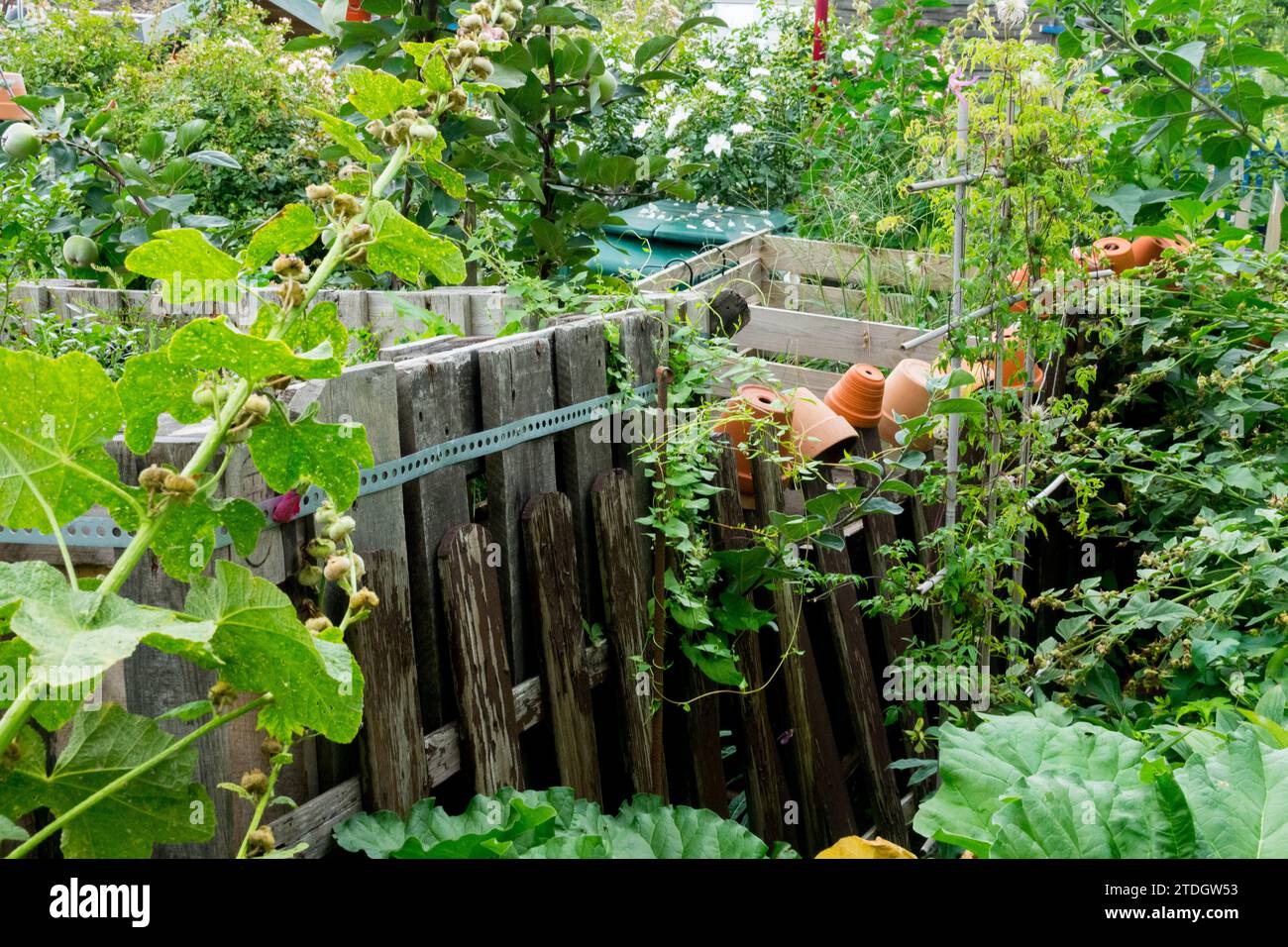 Overgrown, Garden, Allotment, Plot, Fence, Wooden, Old, Composter ...