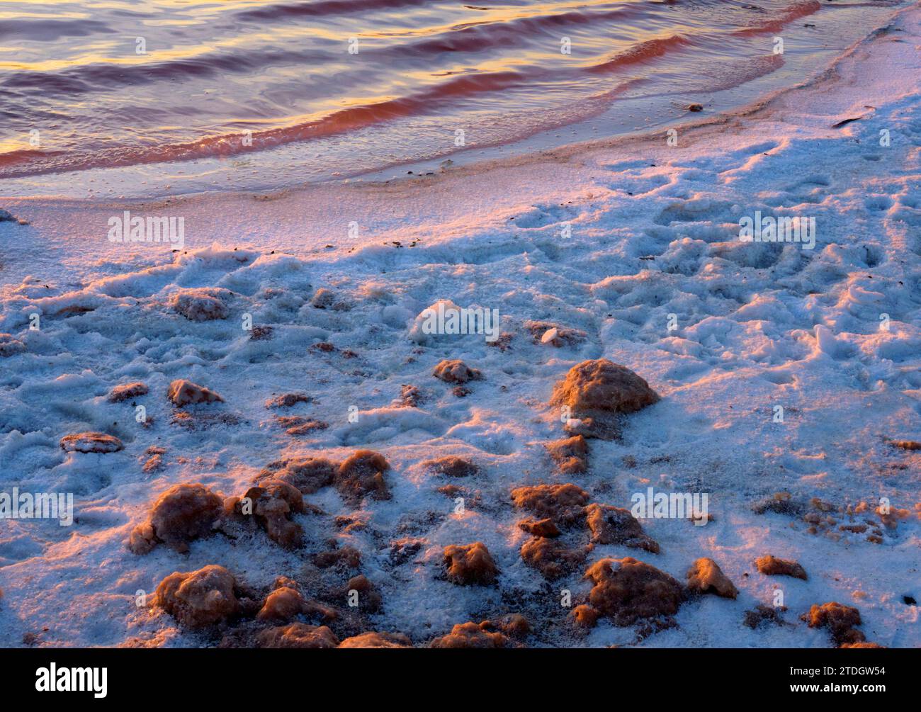 Pink Salt lake in Torrevieja,Spain Stock Photo - Alamy
