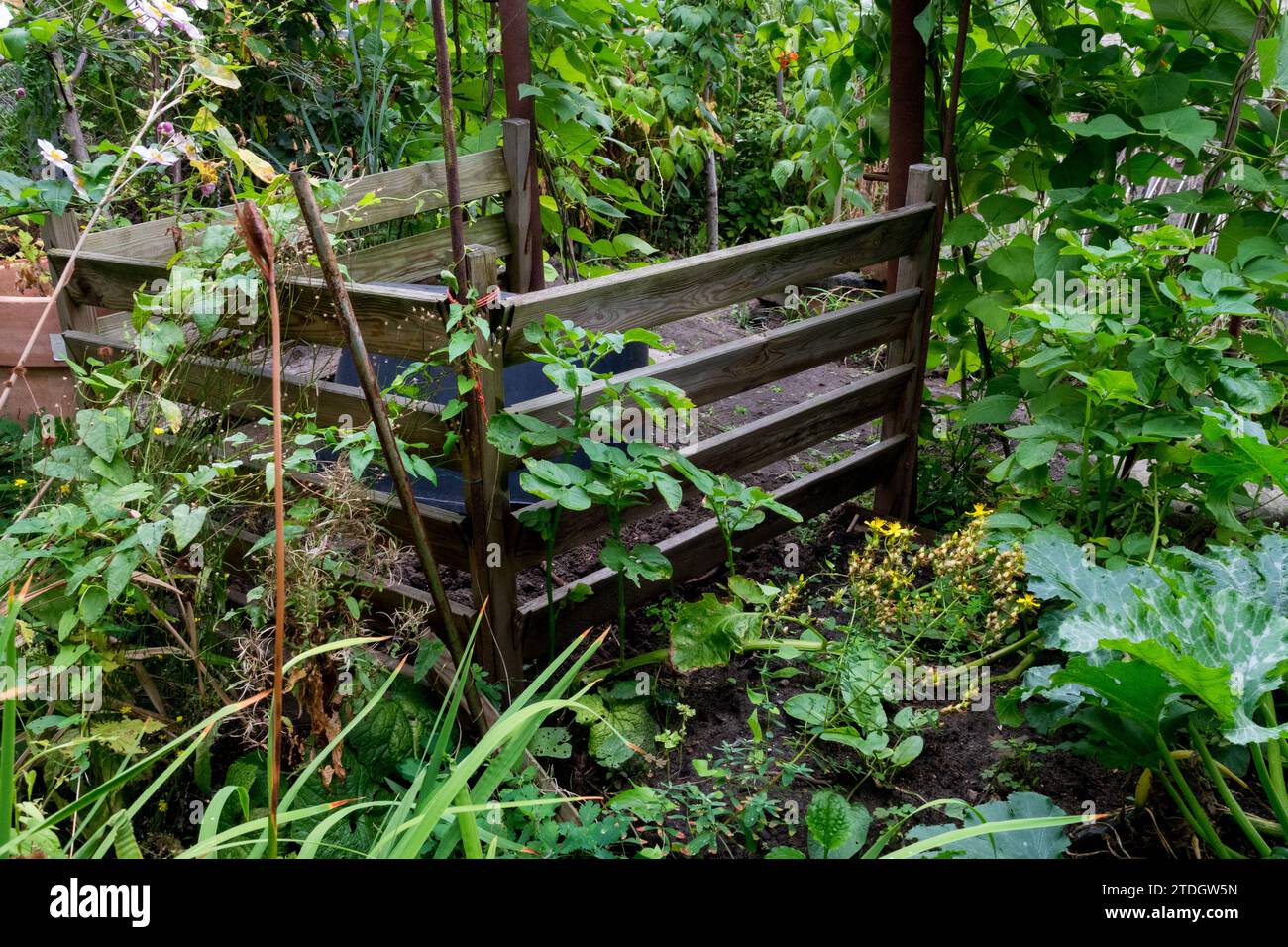 Old wooden composter in an overgrown garden Stock Photo - Alamy