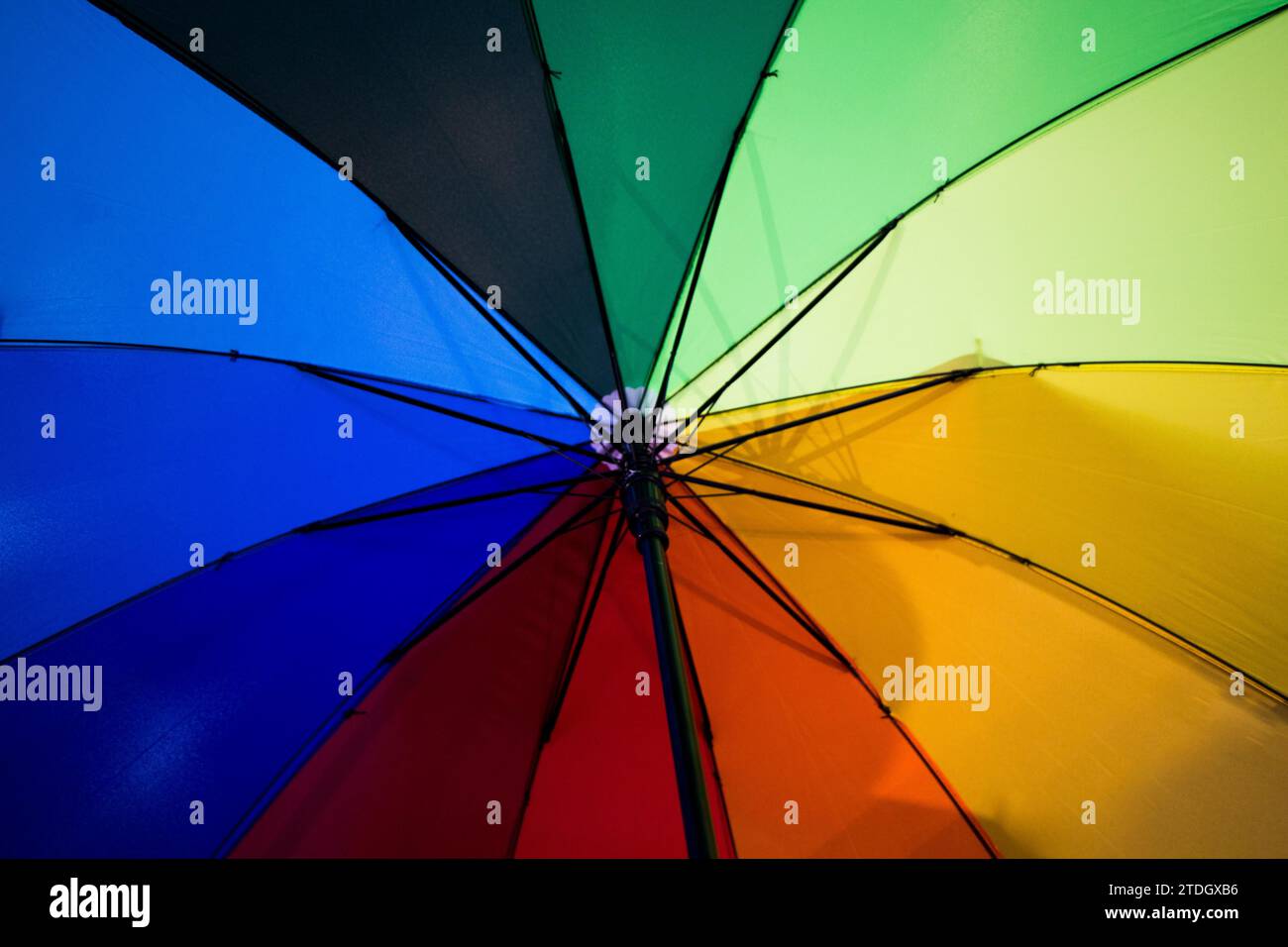 Various segments hi-res stock photography and images - Alamy