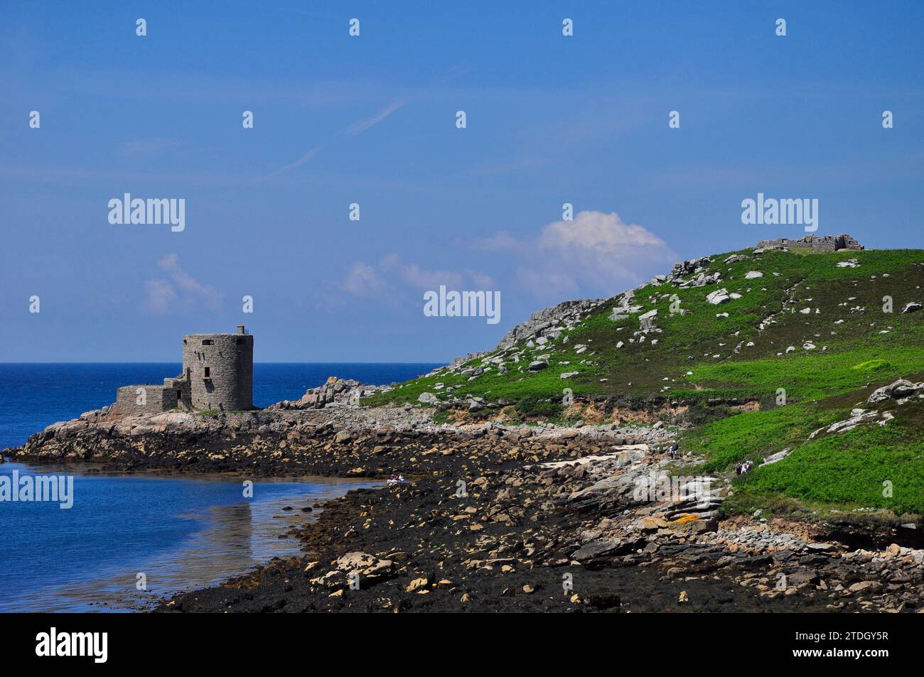 Seaweed bracken hi-res stock photography and images - Alamy
