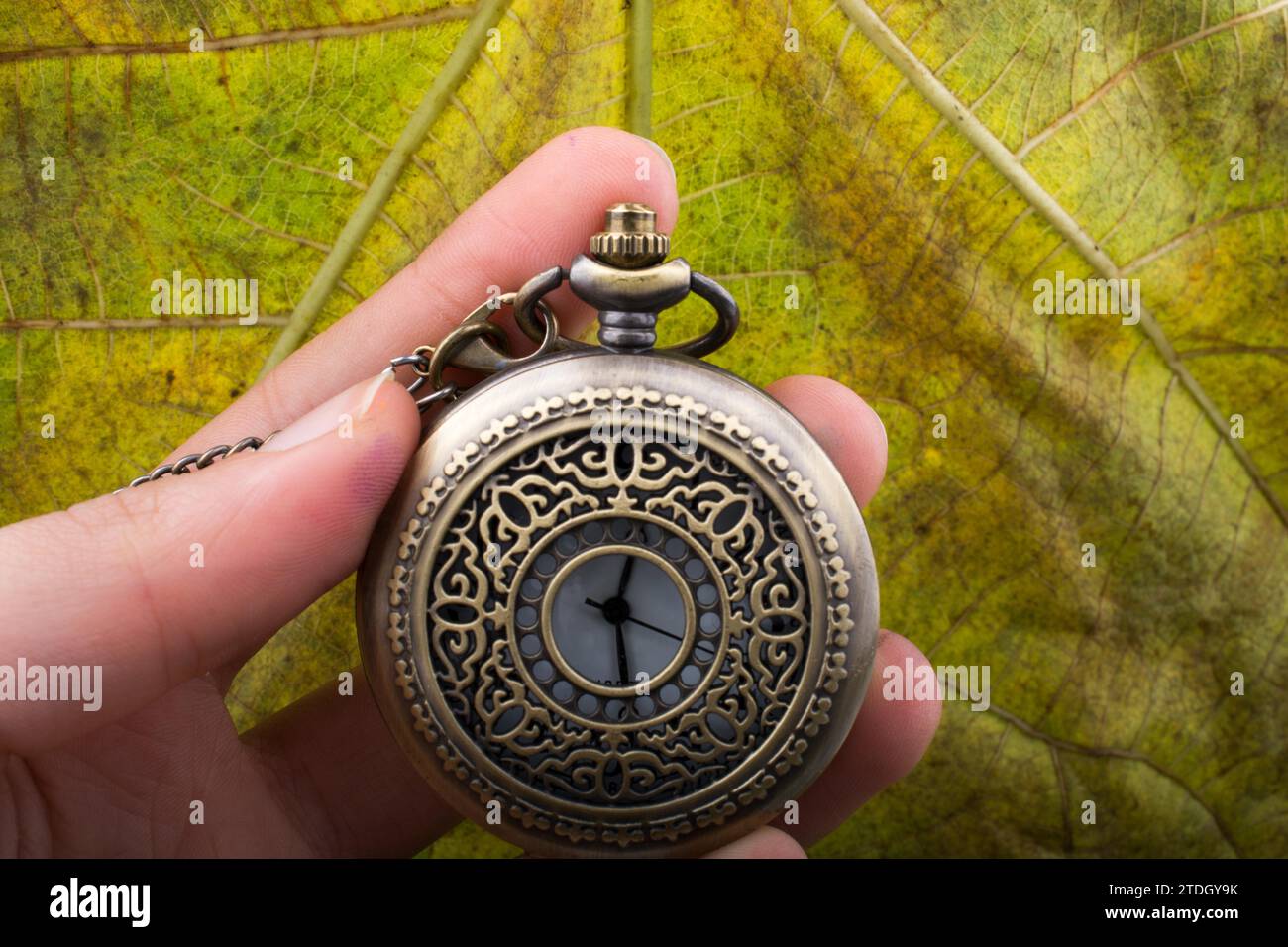 Retro style pocket watch in hand on white background Stock Photo - Alamy