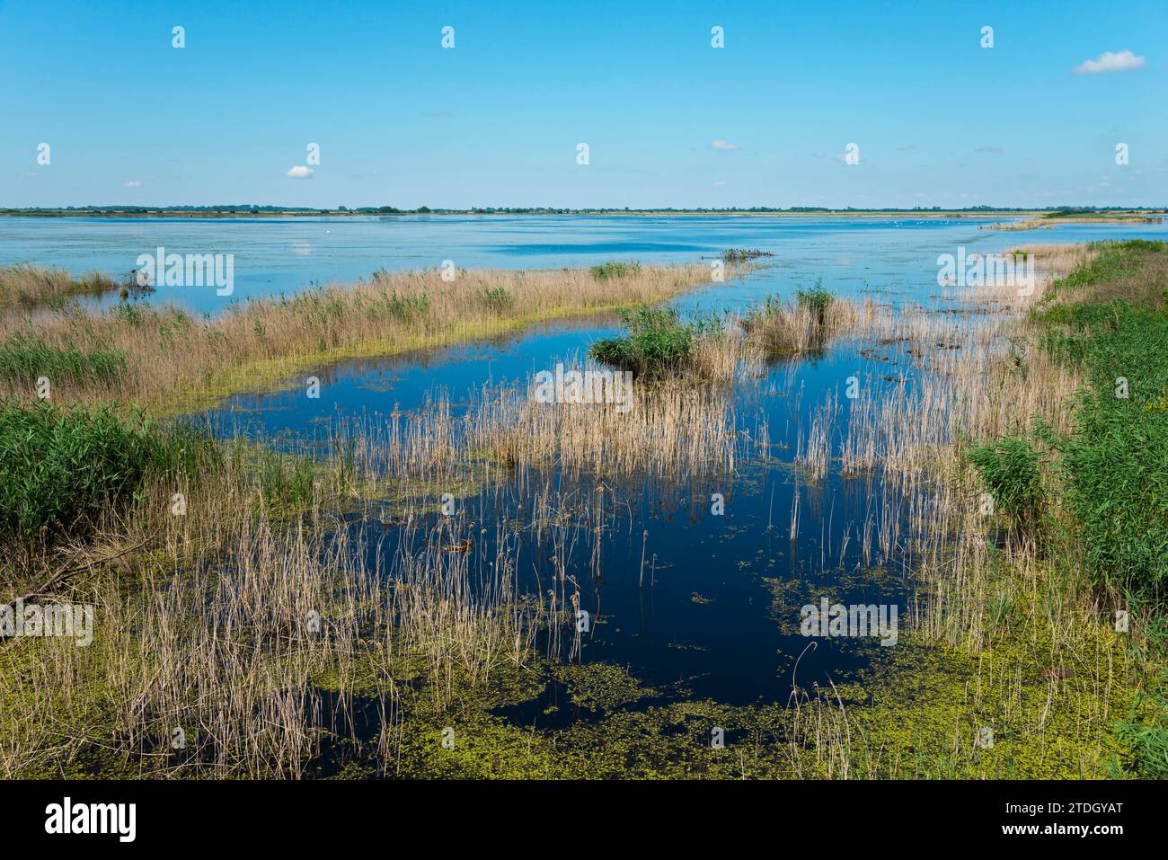 Fish pond, Hortobagy fish ponds, Hortobagyi halasto, Hortobagy ...