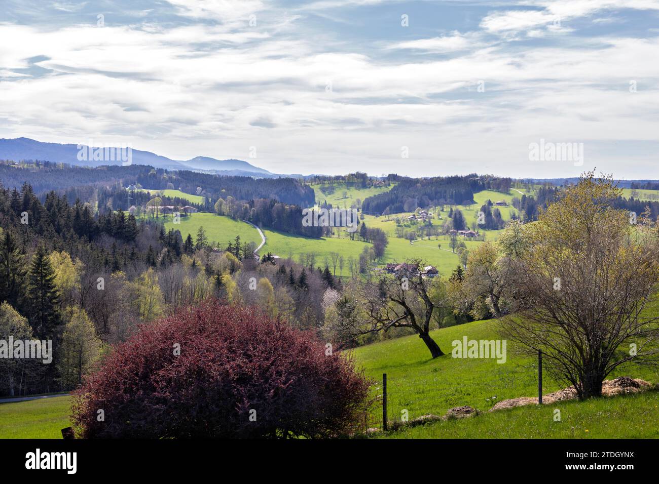 Hausham hi-res stock photography and images - Alamy