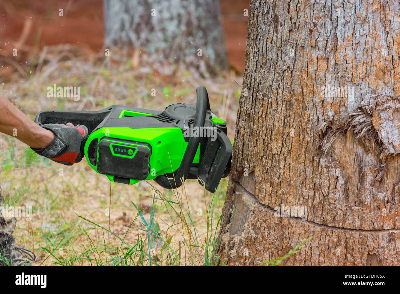 Professional lumberjack saws logs hi-res stock photography and images ...
