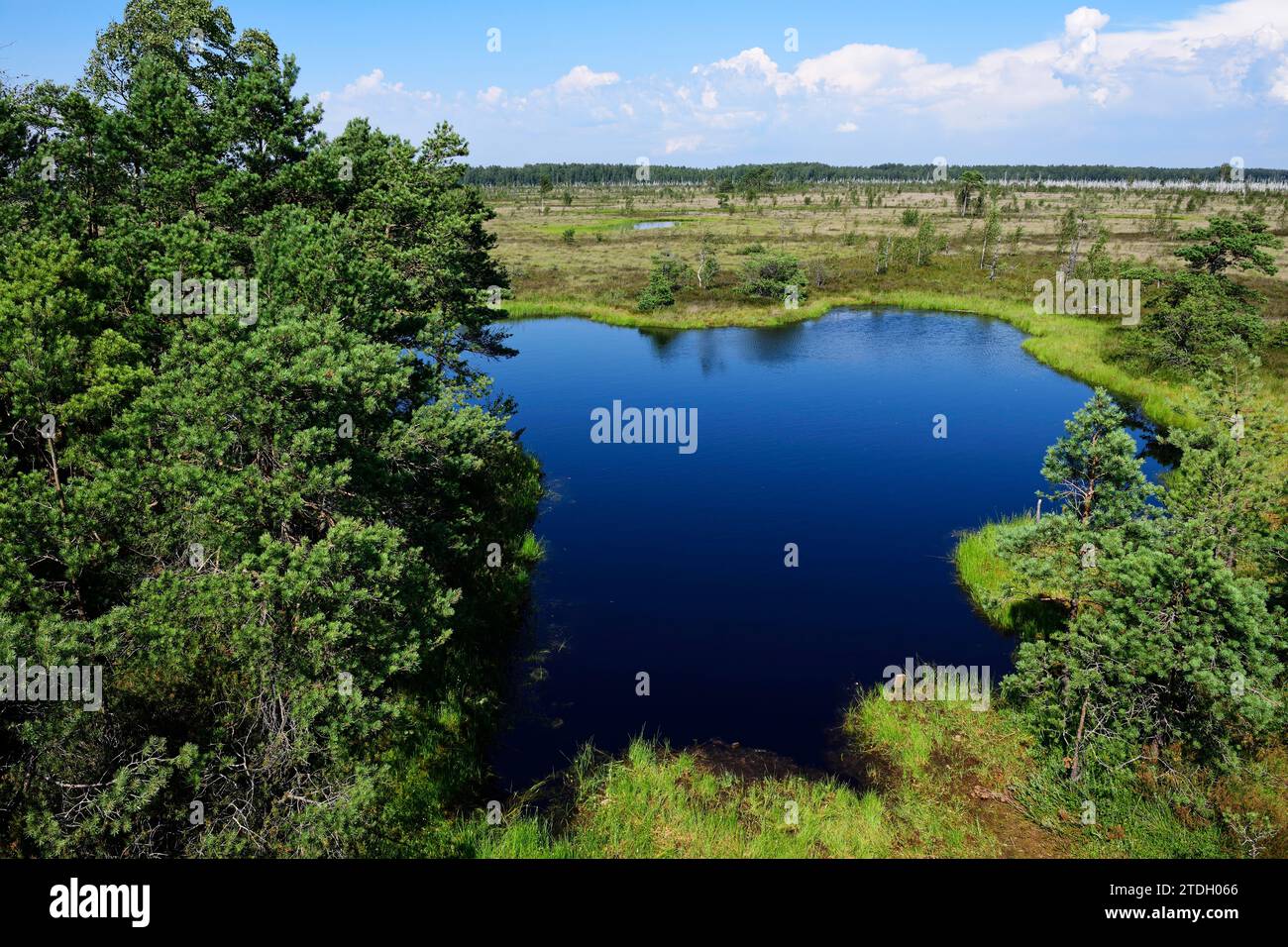 Delta national park hi-res stock photography and images - Alamy
